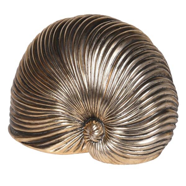 Bianco Gold Shell Decorative Ornament – Rowen Homes