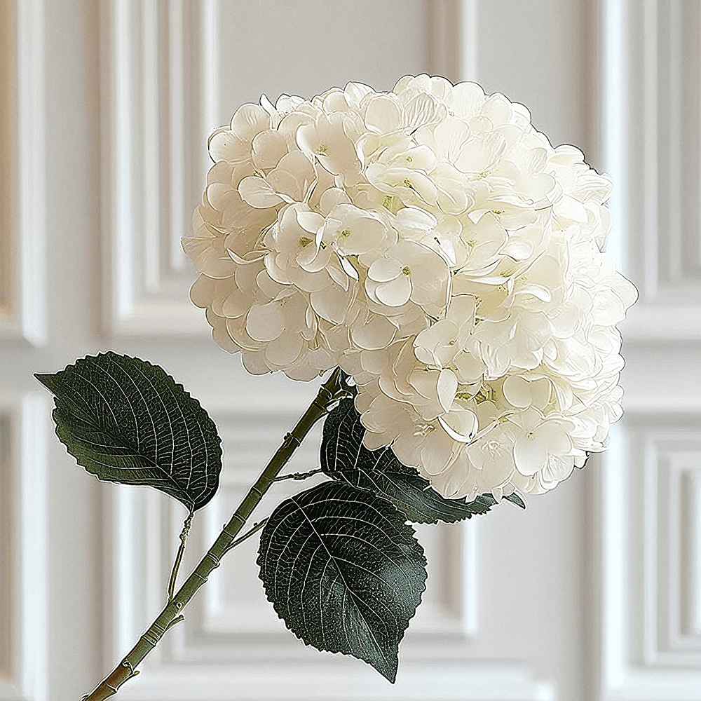 Shop Cream Giant Pom Pom Hydrangea Single Stem Flower – Rowen Homes