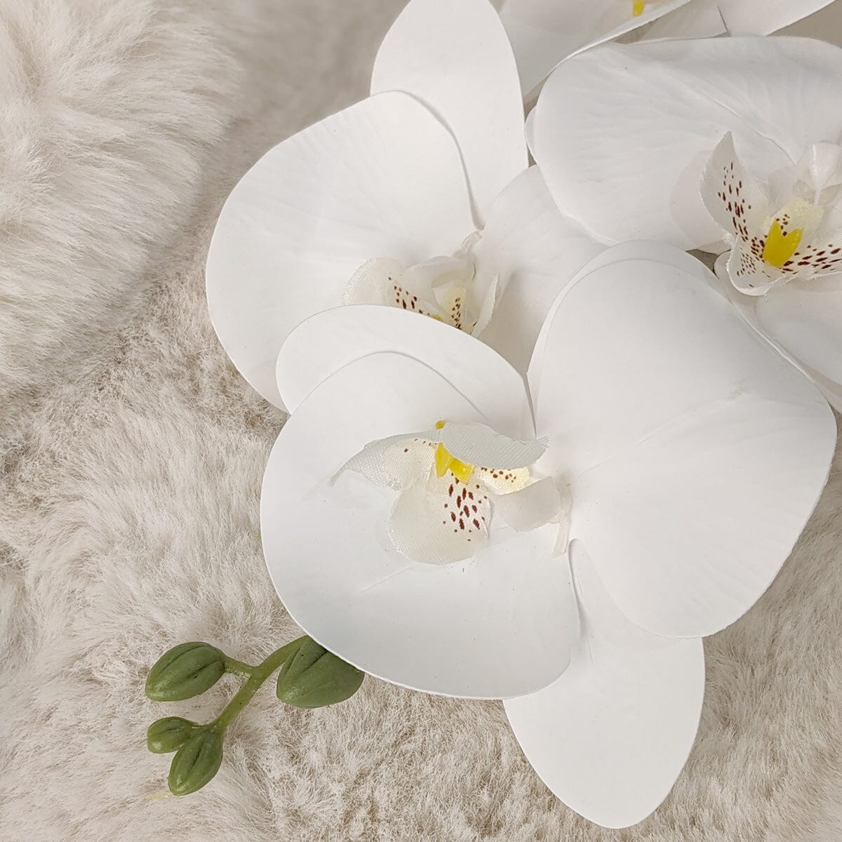 Shop Faux White Orchid Single Stem Floral – Rowen Homes