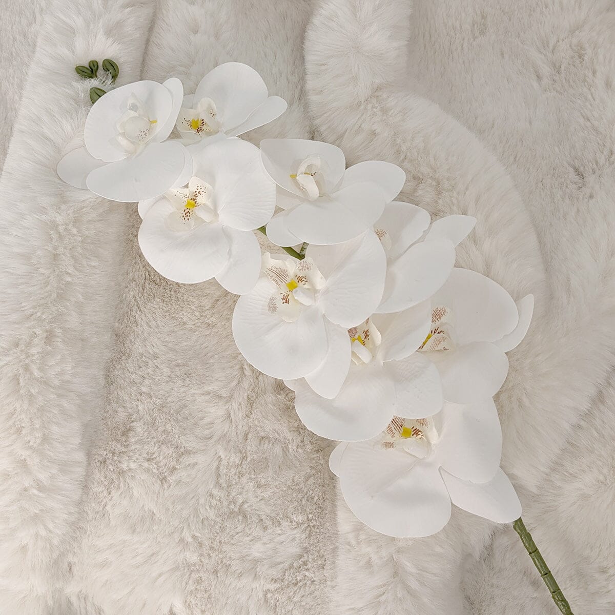 Shop Faux White Orchid Single Stem Floral – Rowen Homes
