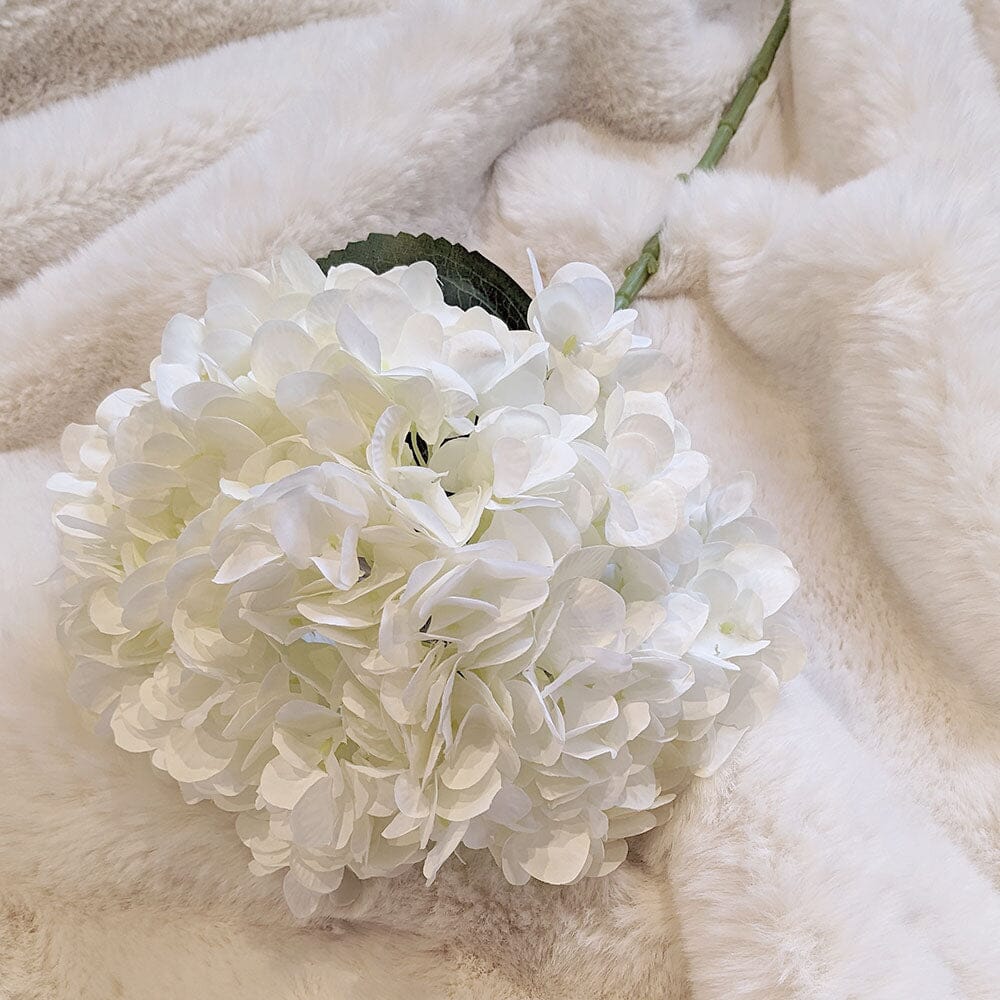 White Giant Pom Pom Hydrangea Single Stem Flower – Rowen Homes