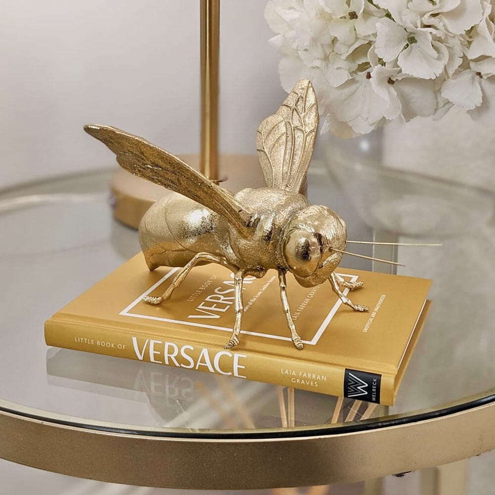Little Book of Versace Hardback Coffee Table Book – Rowen Homes